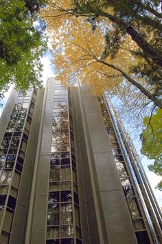 Ranking of UNH Dorms and Residence Halls - Society19